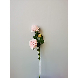 Artfen 5 Pcs Artificial Silk European Rose Flower Peony Flower Long Stem Fake Plastic Flowers Home Garden Party Wedding Decoration DIY Wreath Approx 26'' High Champagne Pink