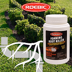 Roebic FRK-1LB Foaming Root Killer, Clears Pipes and Stops New Growth, Safe for All Plumbing, 1 Pound White