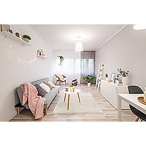 Gertmenian Air Shag Fresh Collection , Classic Plush Microfiber Shag Rug , Bedroom Nursery Living Room Dining Room Dorm Room , 8x10 Ft Large, Solid, Ivory White, 18582