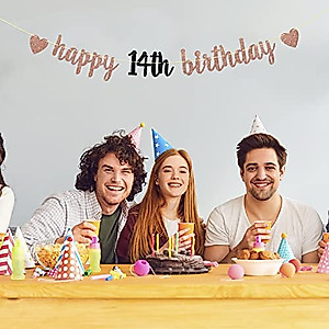 Dill-Dall Rose Gold Glitter Happy 14th Birthday Banner, 14th Birthday Party Decorations, 14th Birthday Backdrops (14th)