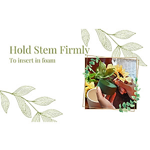 FLOFARE Pack of 6 Round Floral Foam Blocks for Fresh and Artificial Flowers, Styrofoam for Artificial Flowers each (3" X 1.5"), Dry & Wet Green Flower Foam for Flower Arrangements and Florist Supplies