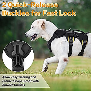 rabbitgoo Escape Proof Dog Harness, Soft Padded Full Body Pet Harness, Reflective Adjustable No Pull Vest with Lift Handle and Leash Clip for Large Dogs Walking Hiking Training, L, Black