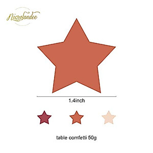 NICROLANDEE 12 PCS Burgundy Rose Gold Paper Lanterns Tissue Pom Poms Party Confetti 50G for Valentine's Day Burgundy Birthday Bridal Shower Women Girls Baby Shower Bachelorette Wedding Magenta Party