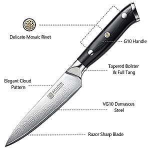 PAUDIN Utility Knife, 5'' Paring Knife, Damascus Kitchen Knife, 67-Layer Forged Blade Ultra Sharp Edge, Stainless Steel Knife, Full Tang G10 Handle with Triple Rivets, for Cutting Fruit and Vegetables