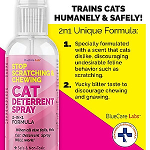 Cat and Kitten Scratch Spray Deterrent - Pet Repellent Spray for Cats & Kittens - Non-Toxic Indoor Anti Cat Scratching Formula - BLUECARE LABS