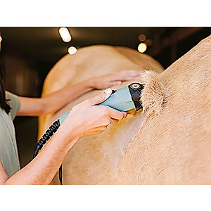 Lister Star Large Animal Clipper with Fine Blade for Horses, Cattle, Sheep, and Livestock (#258-34501), Green