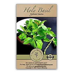 Gaea's Blessing Seeds - Holy Basil Seeds - Heirloom Seeds with Easy to Follow Planting Instructions - Sacred Tulsi Open-Pollinated High Yield Non-GMO 90% Germination Rate