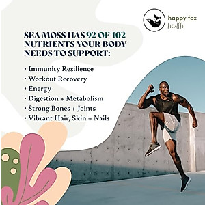 HAPPY FOX Sea Moss Raw Organic for Organic Seamoss Gel Makes 75oz of Dr Sebi Sea Moss Gel - Certified Non-GMO, Wildcrafted Organic Raw Sea Moss - 75 Days Supply of Seamoss Gel - 100 Gram Bag