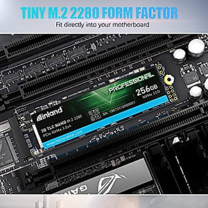 Inland Professional 256GB NVMe SSD M.2 2280 PCIe Gen 3.0x4 3D TLC NAND Internal Solid State Drive, PCIe Express 3.1 and NVMe 1.3 Compatible (256GB)