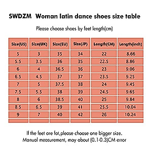 SWDZM Women's Latin Dance Shoes Open-Toe Silk Salsa Tango Ballroom Professional Practice Performance Dance Shoes,Heel-3 1/3'',WZSP2324 Black 8 US