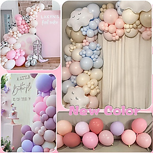 Scmdoti Rose Gold Different Sizes,Double Stuffed Pink Balloon Arch,Pastel Pink Balloons Garland,18/12/10/5 Inch Pink Balloons for Boho Party, Baby Shower, Birthday, Weddings (blue)