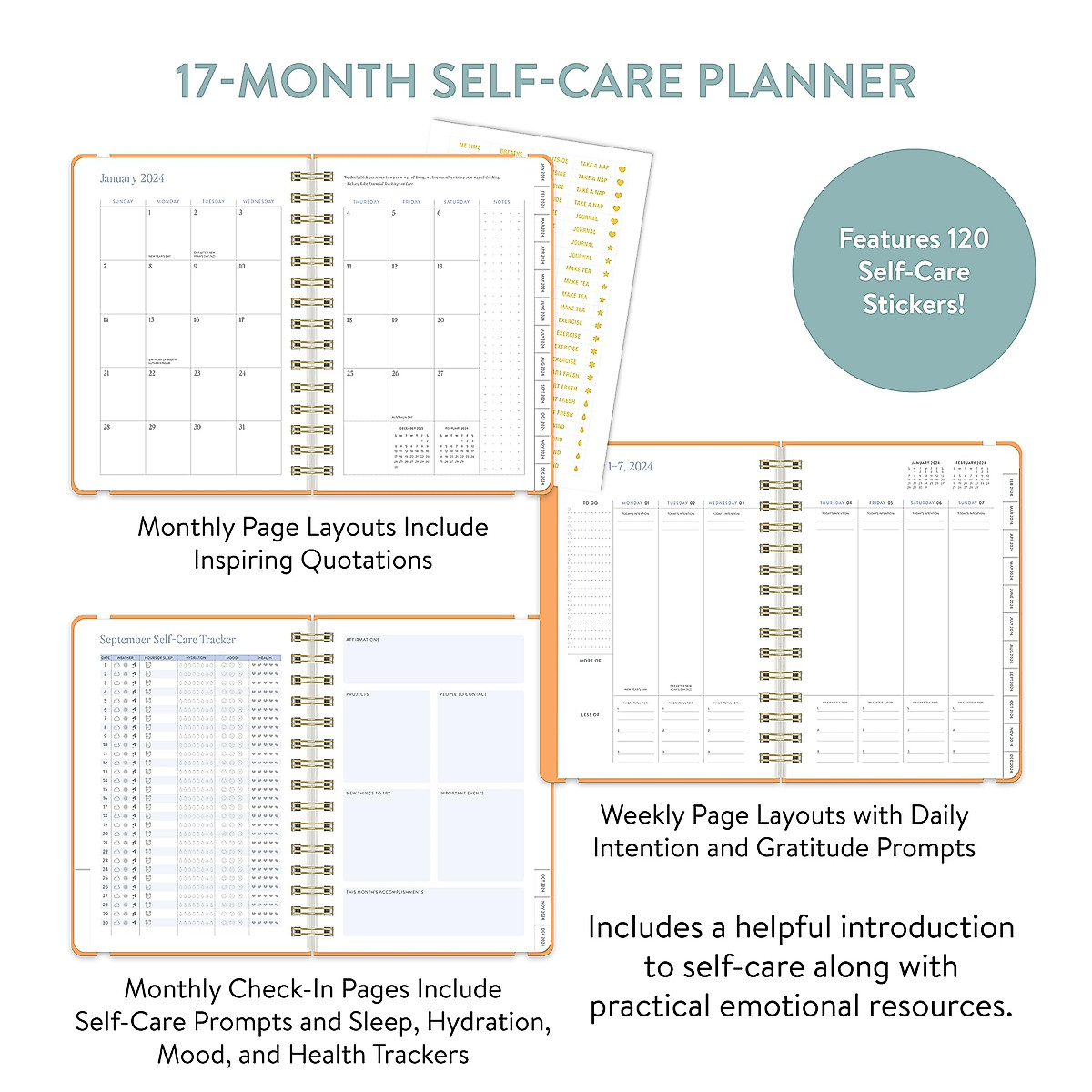 Orange Circle Studio 2024 Self Care Planner, Gratitude Journal, Spiral Notebook with Wellness Tracker, 17-Month Wire-O Bound Calendar Book, Monthly and Weekly Spread Views, Floral Flow