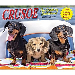 Crusoe the Celebrity Dachshund 2021 Box Calendar (Dog Breed Calendar)