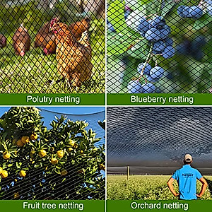 WOSCMI Bird Netting - 25 X 50 feet Garden Netting for Birds Tree Nets for Fruit Trees 3/4 inch Mesh Size Bird Netting for Garden