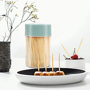 TRTRin Bamboo Toothpicks [3000 Count] - With Reusable Toothpick Holder, Sturdy Smooth Finish Tooth Picks, for Party, Appetizer, Olive, Barbecue, Fruit and Teeth Cleaning, Green.