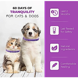 Calming Collars for Dog, 4 Packs, Dog Pheromone Calm Collars Help Dogs Calm Down, Stress Separation Suitable Dogs Last 60 Days Relieve per Box Collar Size 24.5 inch Color Gray