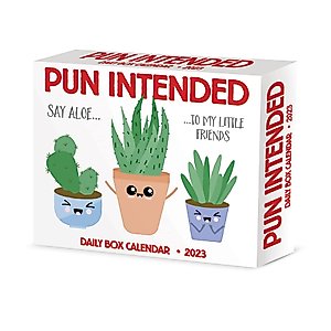 Pun Intended 2023 Box Calendar