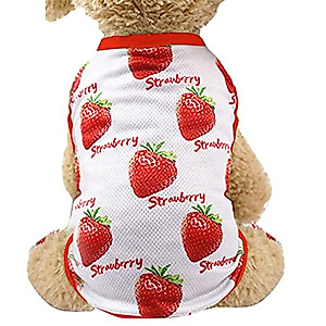 HonpraD Yorkie Clothes for Small Dogs Boy Dog Shirt Strawberry Print Puppy Cat T Shirts Tops Soft Dog Sleeveless Vest Outfits Summer Tee Shirts Pet Clothes