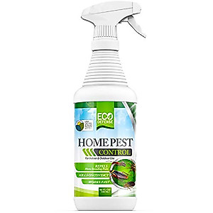 Eco Defense USDA Biobased Pest Control Spray - Ant, Roach, Spider, Bug Killer and Repellent - Natural Indoor & Outdoor Bug Spray - Child & Pet Friendly