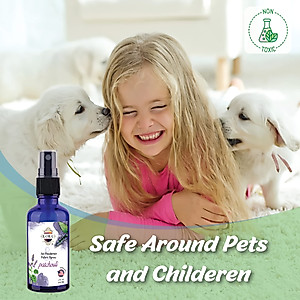 Patchouli Air Freshener - Room Spray - Odor Eliminator - Deodorizer - Car Air Freshener - Home Spray - Linen Spray - Fabric Refresher - Non-Toxic - Alcohol Free - Made in USA (4 Oz)