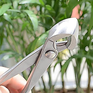 Socobeta Concave Root Cutter, Abrasion Resistant Bonsai Cutters Stainless Steel High Hardness Professional 21cm/8.27in Effective Rustproof for Gardening Tool