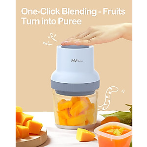 HEYVALUE Baby Food Maker, 13-in-1 Baby Food Processor Sets, Baby Food Puree Blender for Fruit, Vegatable, Meat, with Baby Food Containers, Freezer Tray, Silicone Spoons, Silicone Spatula (Light Blue)