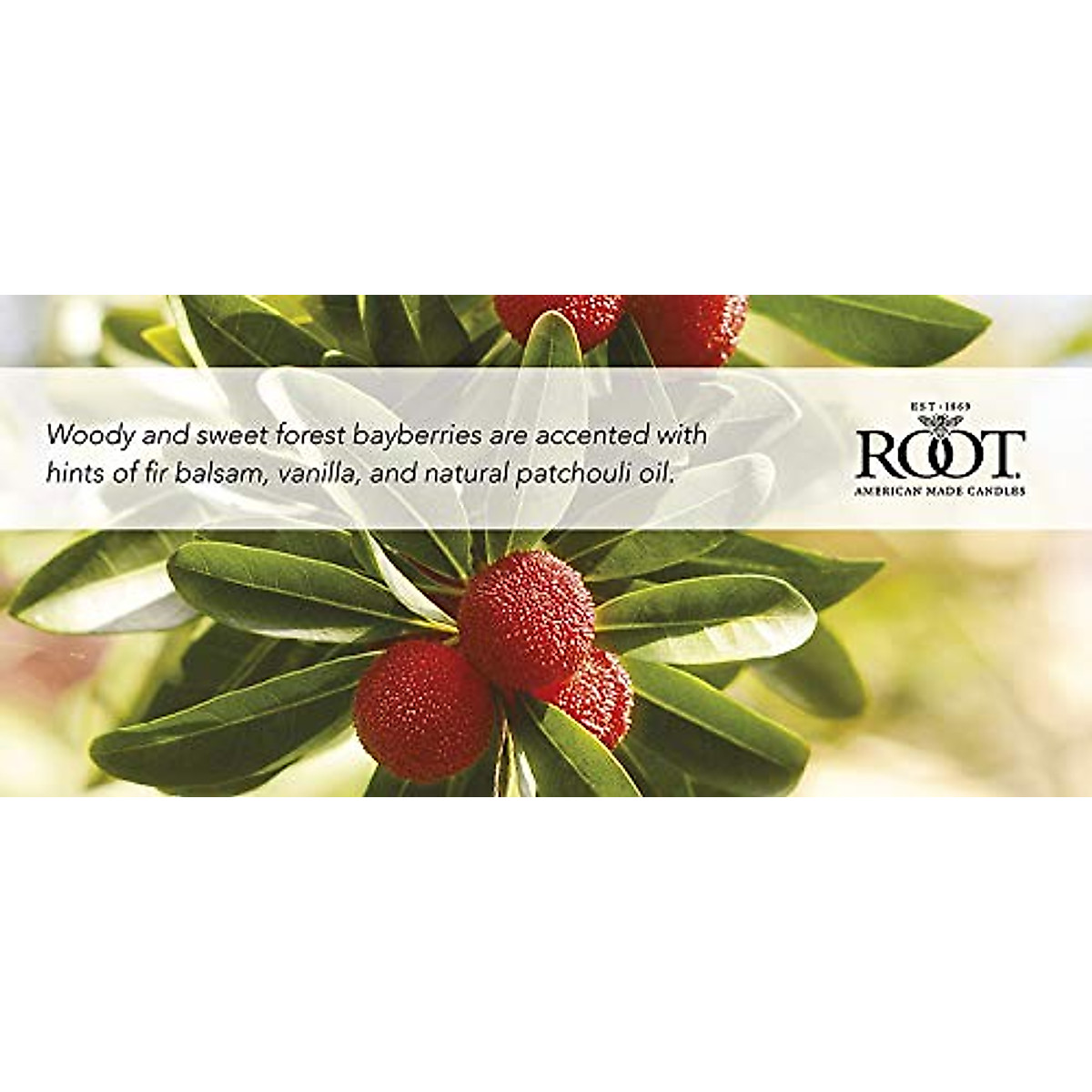 Root Candles 20-Hour Scented Beeswax Blend Votive Candles, 18-Count, Bayberry