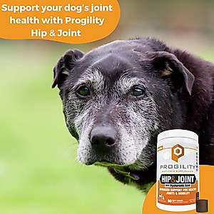 Nootie Progility Hip & Joint Supplement for Dogs, Dog Joint Support with Glucosamine and Chondroitin, 90 Count