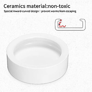 Meanplan 4 Pieces Reptile Water Food Bowl Terrarium Bowls Worm Dish Ceramic Pet Bowls Mini Reptile Food Ceramics Water Bowl Anti-Escape Mini Reptile Feeder for Lizard Anoles Bearded Dragons