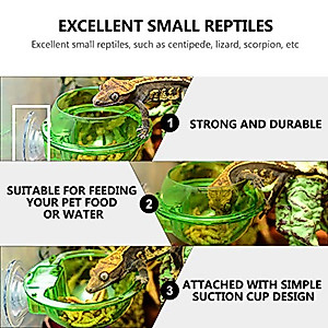 balacoo 4pcs Reptile Food Bowl Turtle Feeder Feeding Dish Tortoise Food Container Reptile Eating Bowl Water Dish Tray for Gecko Snake Turtle Bearded Dragon
