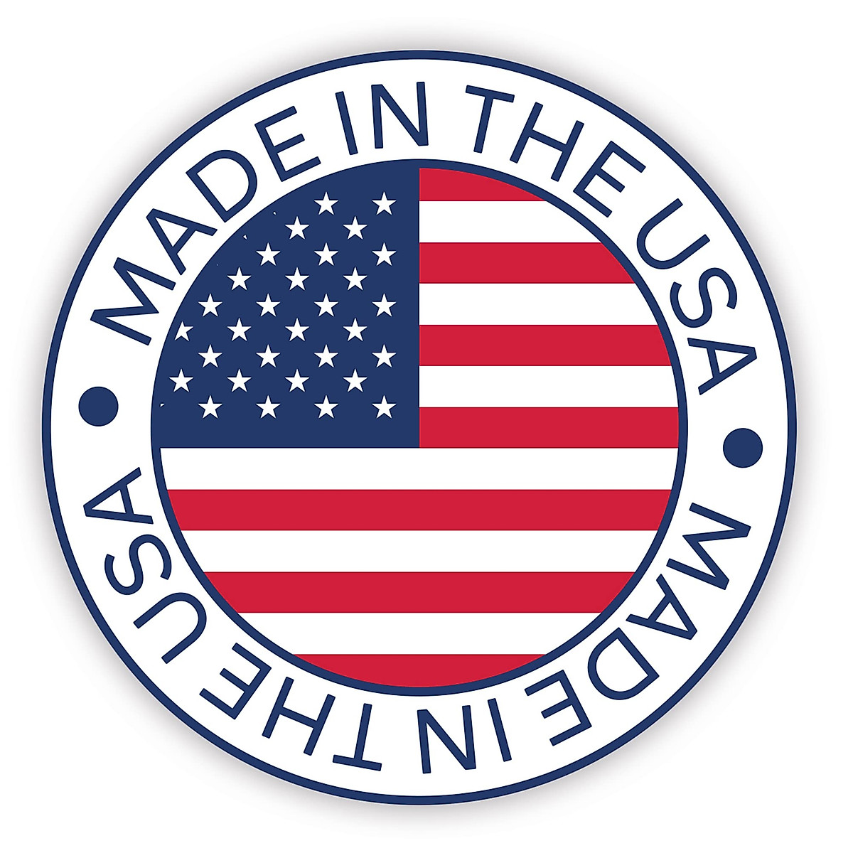 Desert Cactus Motley Crue Poster 24 inches by 36 inches Decoration Room (Design 14)