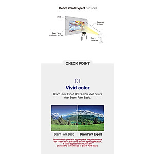 PICSHOW Beam Projector Screen Paint Basic - High Definition, 600gram, Light Gray