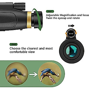 AYRAVIIO 12×60 Monocular Telescope with Smartphone Holder & Upgraded Tripod, High Powered SMC & BAK4 Scope for Adults, Birthday Gifts for Men Dad Him Husband Boyfriend, Gadgets for Birdwatching