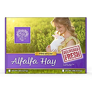 Small Pet Select Alfalfa Hay Pet Food for Young  Rabbits, Guinea Pigs , Chinchillas, Tortoises and Other Small Animals, Easy to Store Box, 10 LB