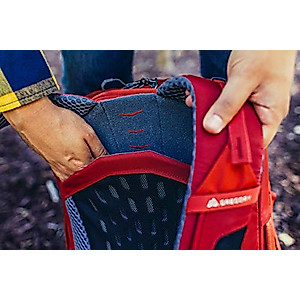 Gregory Men's Backpack, Orange (Ferrous Orange), One Size