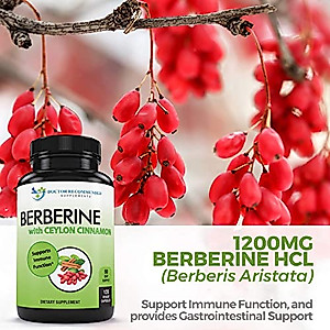 DOCTOR RECOMMENDED SUPPLEMENTS Berberine with Ceylon Cinnamon - 1200mg Berberine & 100mg Organic Ceylon Cinnamon - 120 Veggie Capsules, Healthy Immune System & Gastrointestinal Wellness
