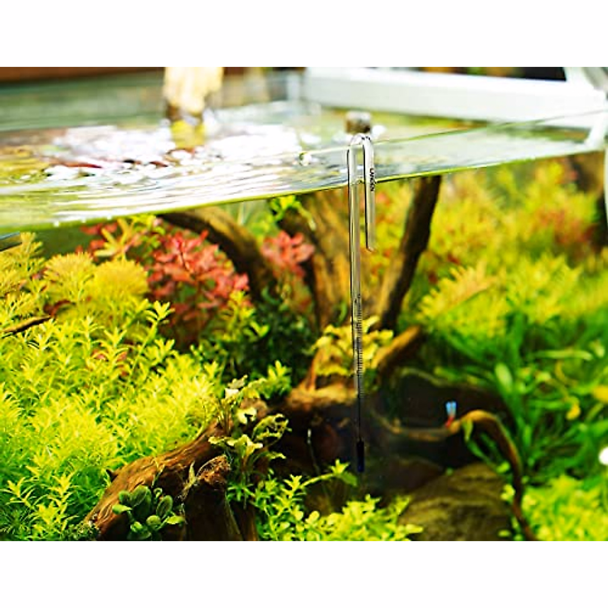 LANDEN Aquarium Thermometer for Rimless Tank, Hang-On Style Fish Tank Thermometer, Clear Scale Background-for 8mm or Thinner Thickness of Tank(Celsius Degree Version, G-8C)