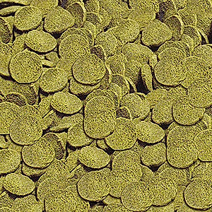 Sera Catfish Chips Wafers with Wood Fish Food, 3.3 Ounce Container