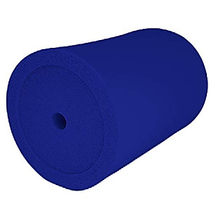 Lake Life Thick Foam Can Coolie (1, Royal Blue)