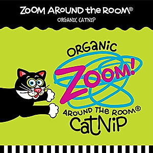 Doskocil Bamboo Pet CAM650384 Fat Cat Kitty Hoots Eeeks Chic Catnip Toy, Multicolor