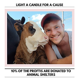 CandlePlanter Concrete Cement Candle Planter - Aromatherapy Candles for Home Scented, Soy Candles - Scented Candle & Dual Purpose Jar Candles, Strong Scented Candles - 8 Oz, 50-Hour Burn