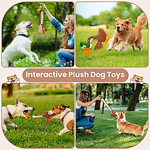 WinTour Dog Toys for Small Dogs, Puppy Toys to Keep Them Busy, Puppy Teething Toys, Dog Chew Toys for Small/Medium Dogs, Non-Tough Dog Toys for Aggressive Chewers, Squeaky Dog Toys, Tug of War Dog Toy