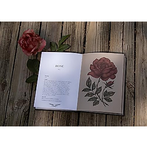 Floriography: An Illustrated Guide to the Victorian Language of Flowers (Volume 1) (Hidden Languages)