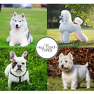 Chris Christensen Groomer's Bundle - White on White Treatment Dog Shampoo, Brightens Whites, Safely Removes Yellow - Ice on Ice Detangling Dog Conditioner, Demat and Detangle, Long Lasting Silkiness