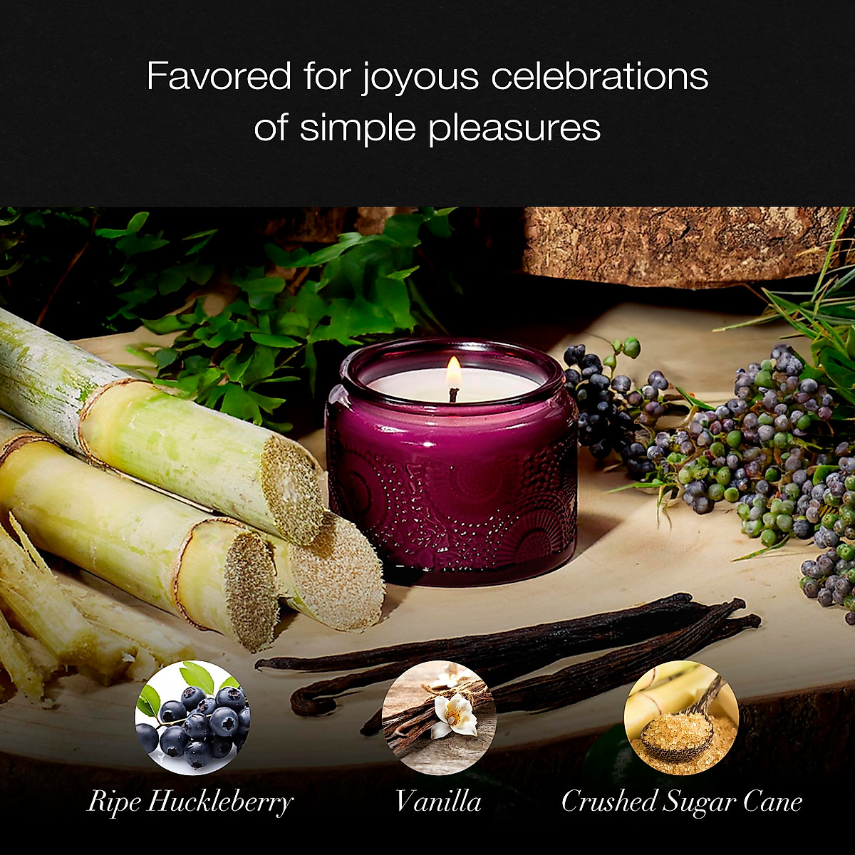 Voluspa Santiago Huckleberry, Petite Candle Jar, 3.2 Ounce, 25 Hour Burn Time, All Natural Wicks and Coconut Wax for Clean Burning, Vegan, Poured in the USA