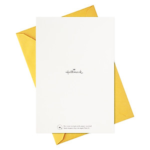 Hallmark Birthday Cards Assortment, 16 Cards with Envelopes (Classic Celebrate)