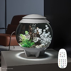 Halo 15 Aquarium with MCR Light - 4 Gallon, White