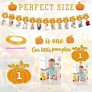 Fall Pumpkin 1st Birthday Photo Banner Autumn Pumpkin Birthday Photo Banner for Newborn to 12 Months Milestone Photograph Bunting Garland for Baby Boy Girl 1st Birthday Party Supplies