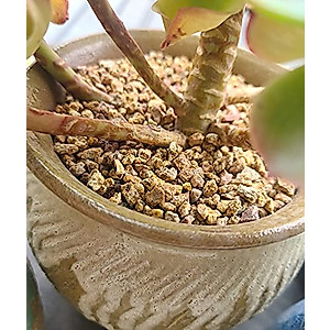 Succulent and Cactus Gold Maifanitum Stones, 2lb Bonsai Decorative Rocks, Indoor Plants Soil Covers, Bonsai DIY Gritty, Horticultural Grit, Potting Pebbles for Terrarium, Fairy Gardening, Top Dressing