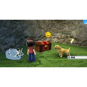 Go Vacation - Nintendo Wii (Renewed)